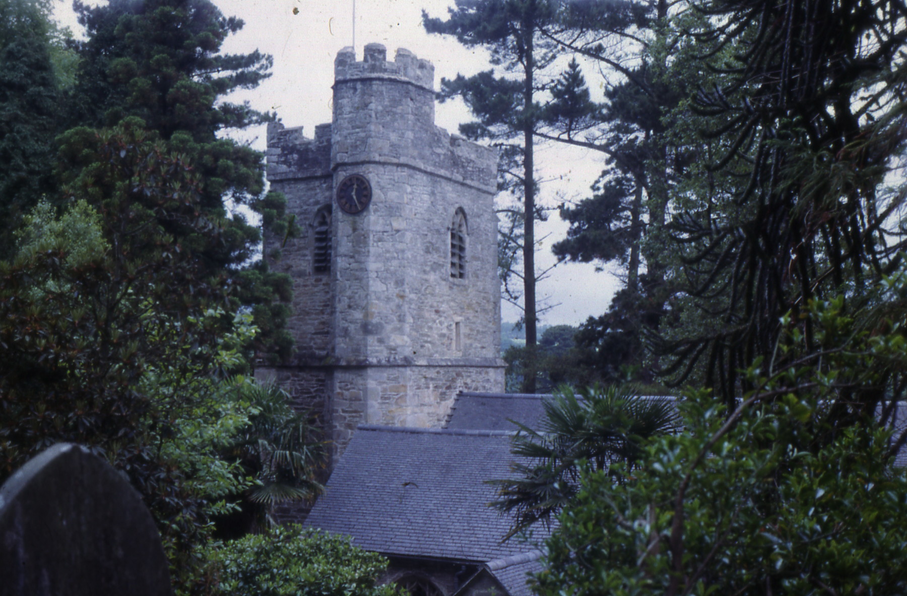 Phiweb - Harry coombs Photos